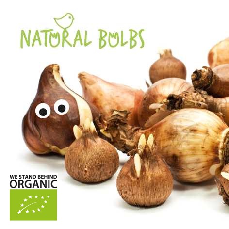 Home | Natural Bulbs EU